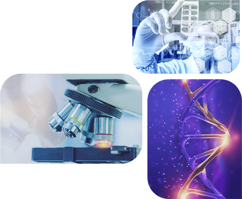 CGHR – A research wing of Diabetic Association of Bangladesh